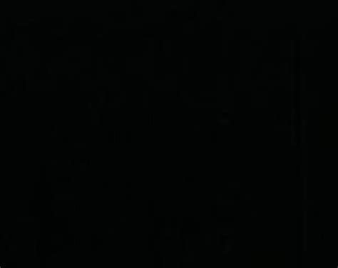 Jet Black By Michael Miller Solid Black Cotton Fabric My All Time