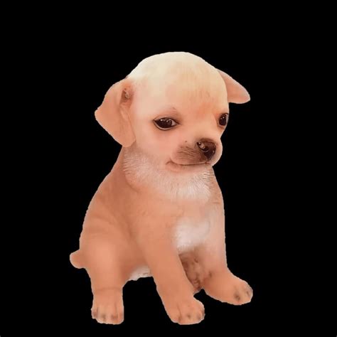 Perro Sonriendo