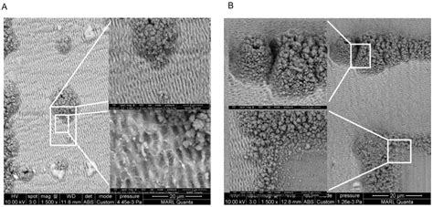 Tuning The Wettability Of A High Strength Aluminum Alloy Using A