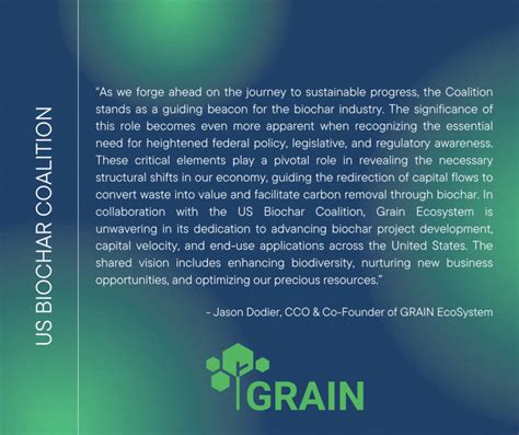 Biochar Carbonremoval Grainecosystem Grain Ecosystem