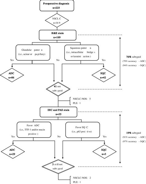 Diagnostic Algorism For Classification Of Nsclc In Preoperative