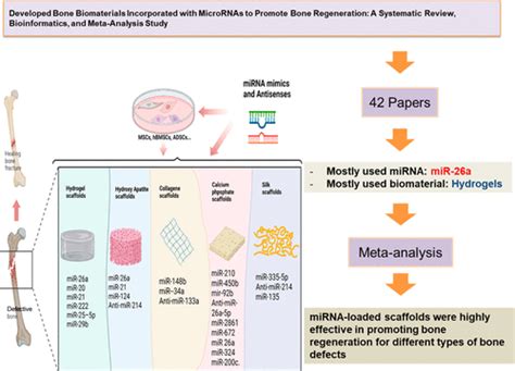Developed Bone Biomaterials Incorporated With Micrornas To Promote Bone