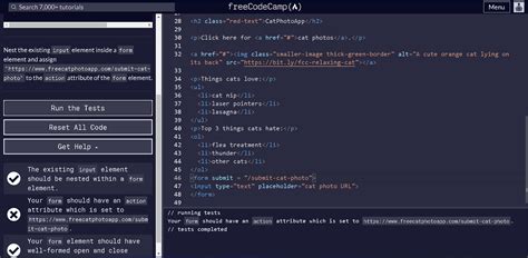 Why Do I Cant Pass The Create A Form Element Challenge Html Css The Freecodecamp Forum