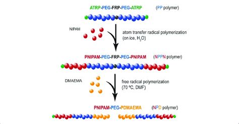 Scheme 1 Schematic Drawing Of The Synthesis Route Of Npd Triblock
