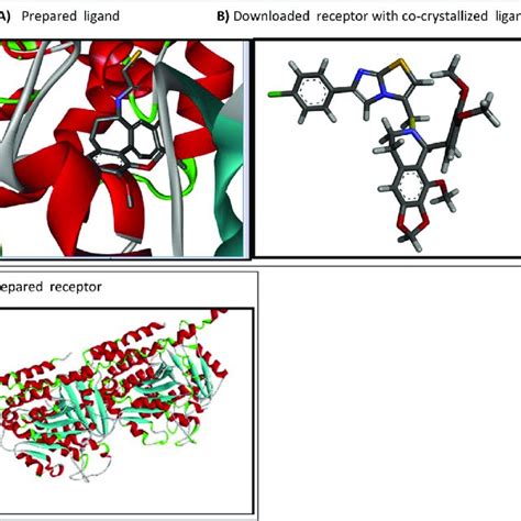 Ligand Structure Co Crystallized Receptor And The Prepared Receptor