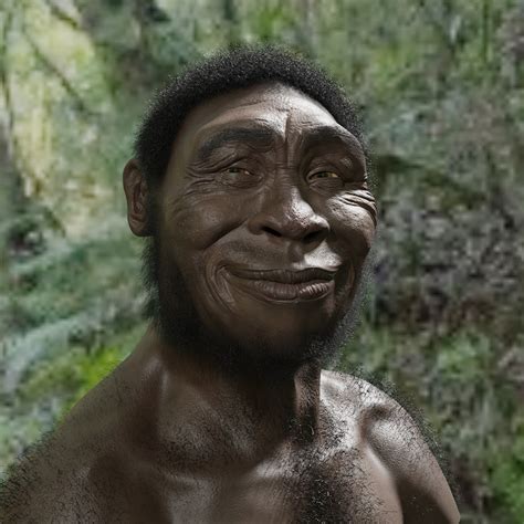 Lanca Homo Erectus