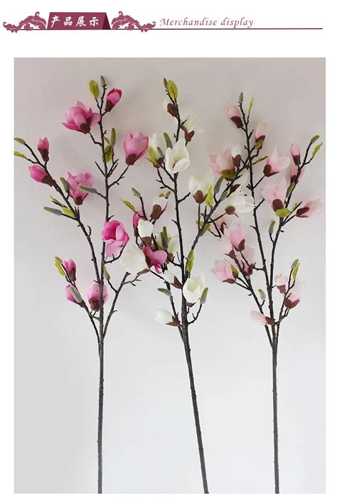 玉兰树皮玉兰树大山谷图库