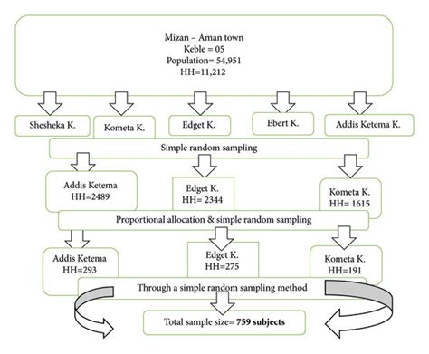Schematic Representation Of A Sampling Procedure To Assess The