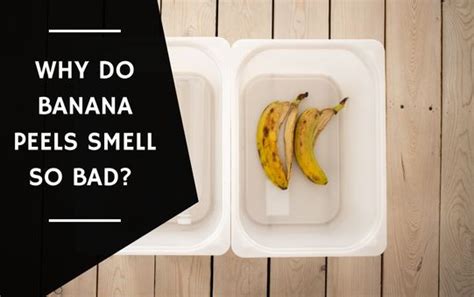 Why Do Banana Peels Turn Brown After Opening Ediblenosh