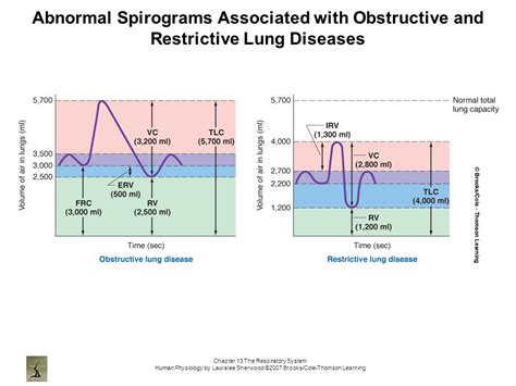 The Respiratory System Ppt Video Online Download