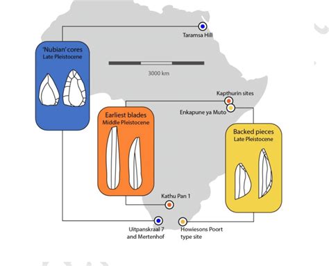 Examples Of Technological Convergence In The African Middle Stone Age