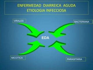 Clase Eda Power Point Enfermedad Diarreica Aguda Ppt