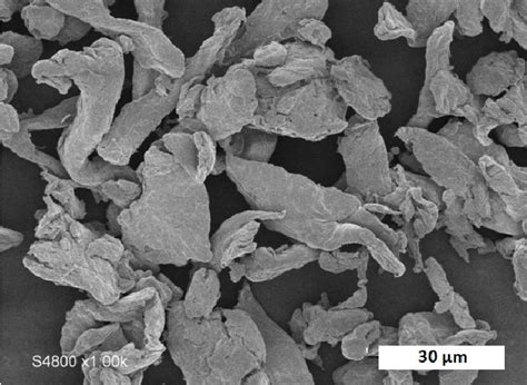 3 Sem Picture Of Cellulose Particles Download Scientific Diagram