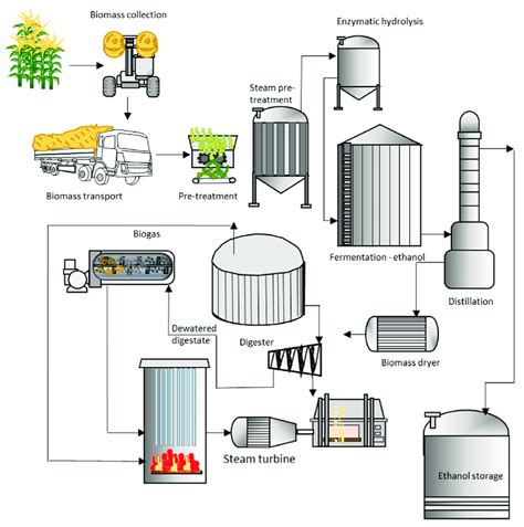 Schematic Representation Of The Different Processes Involved In A