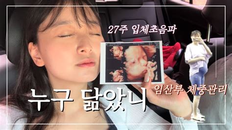 임신 브이로그 27주 입체초음파 임산부 체중관리 다이어트 운동 Youtube