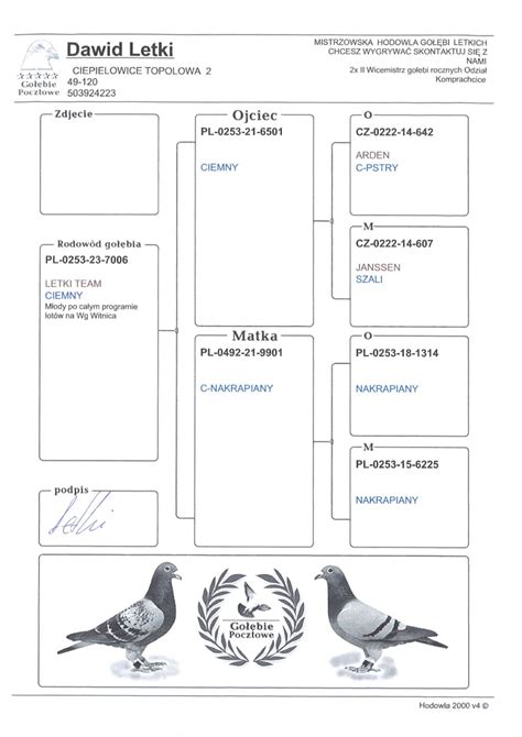 Pl 0253 23 7006 Letki Team Profesjonalny Portal Aukcyjny Gołębi Pocztowych Gołębie Od