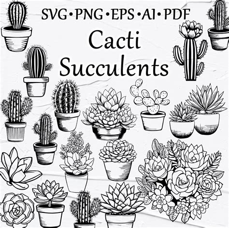 Cacti Svg Clipart Succulents Svg Clipart Houseplants Vector Clipart Cactus Lineart SVG