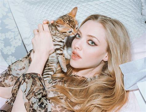 Amanda Seyfried Brasile