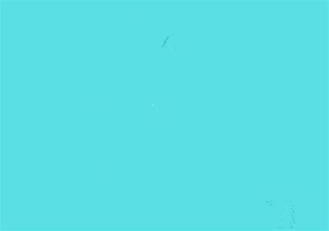 Touchdown Packers  Touchdown Packers Discover And Share S