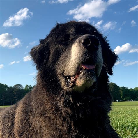 David Garner Youtube