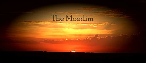 Moedim Appointed Times Overview Place Of The Lamb
