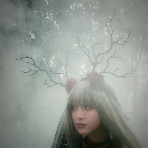 席子的日常 次元岛