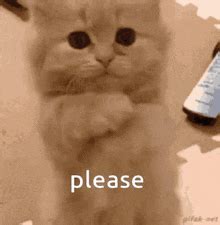 Cute Please S Tenor