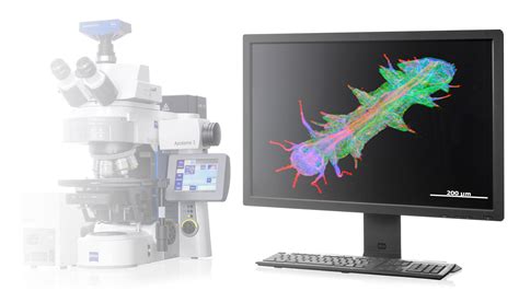 Zeiss Upgrades For Light Microscopy