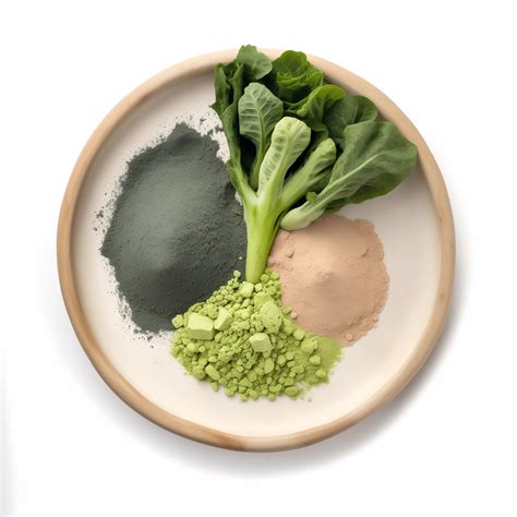 Neurocomplex B Vitamin B Complex Slow Release For Energy And Mood