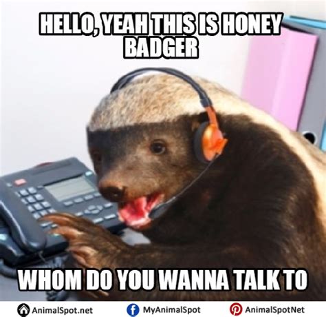 Honey Badger Dont Care Meme
