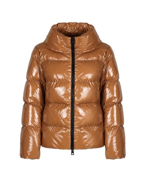 Herno Shiny Fabric Down Jacket With Stand Up Collar For In Brown Lyst