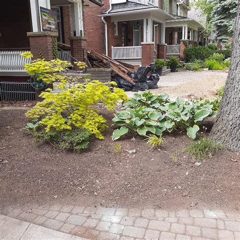 Garden Muses A Small Toronto Gardening Services Company Blog 2021