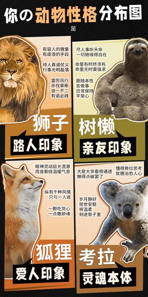 動物性格特徴 動物 特徴 性格 一覧 Vlqjpc