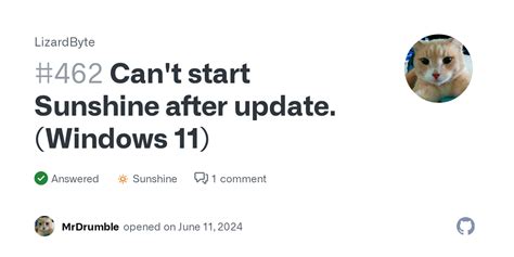 Cant Start Sunshine After Update Windows 11 · Lizardbyte · Discussion 462 · Github