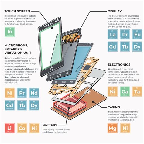 Visualizing The Biomass Of All The Worlds Mammals Visual Capitalist