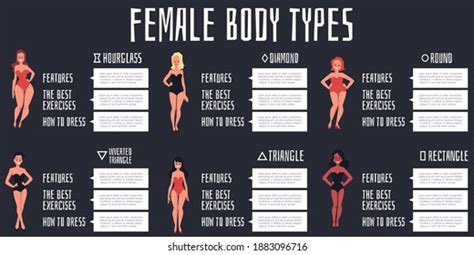 Female Body Types Banner Young Beautiful Stock Vector Royalty Free