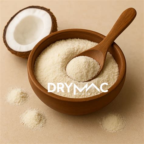 Spray Dried Coconut Milk Powder 60 Fat High Fat 25 Kg Corrugated