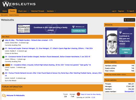· Issue 172267 · Adguardteamadguardfilters · Github
