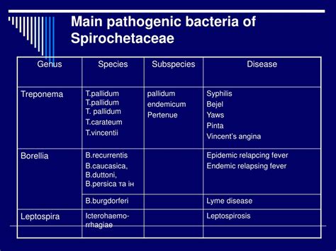 Ppt Pathogenic Spirochetes Powerpoint Presentation Free Download