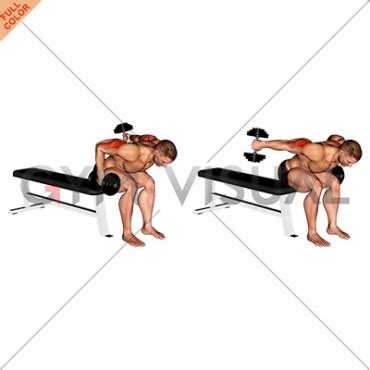 Dumbbell Seated Bent Over Alternate Kickback Illustration