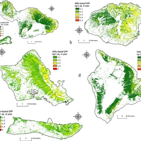Unclassed Forest In India Download Table