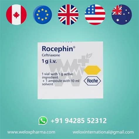 Rocephin Ceftriaxone 1g Injection 1 Gm At Rs 2500vial In Surat Id