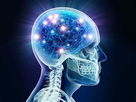 Women Vs Men Stanford Scientists Uncover Key Brain Organization