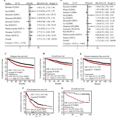 The Predictive Value Of Ect2 For The Prognosis Of Breast Cancer