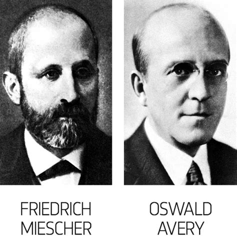 Dna A Timeline Of Discoveries Bbc Science Focus Magazine