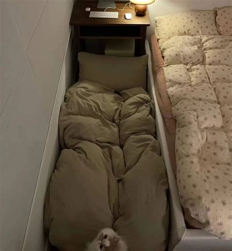 姜承宇 Ychen1 • Threads Say More