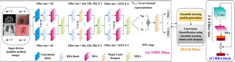 논문 리뷰 Multimodal Fusion Learning With Dual Attention For Medical Imaging