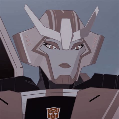 Strongarm Transformers Pfp