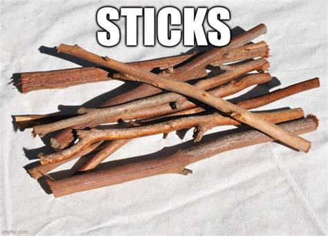 Bundle Of Sticks Imgflip